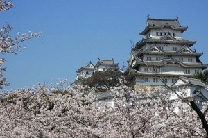 main-qimg-c904d1c1ba278fa027e357e85a8af6f8.png - Them's Fightin' Words ...