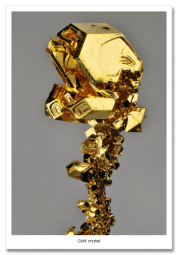 element-tanaka-gold.png - Them's Fightin' Words Them's Fightin' Words